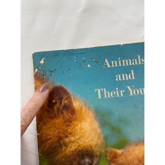 Other | Animals And Their Young By Glenn O Blough Vintage 1959 ...